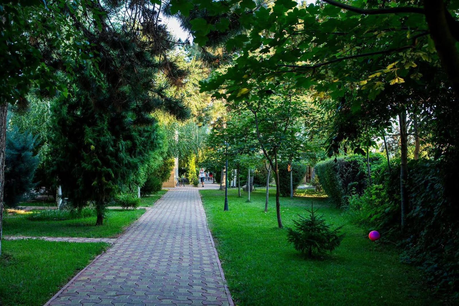 Complex Club Dunarea Eforie Nord, România - rezervați acum, 2026 prețuri